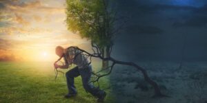 Sabiduría de Ifá en Ogbe Yono: Con buena cabeza llega la suerte y el iré