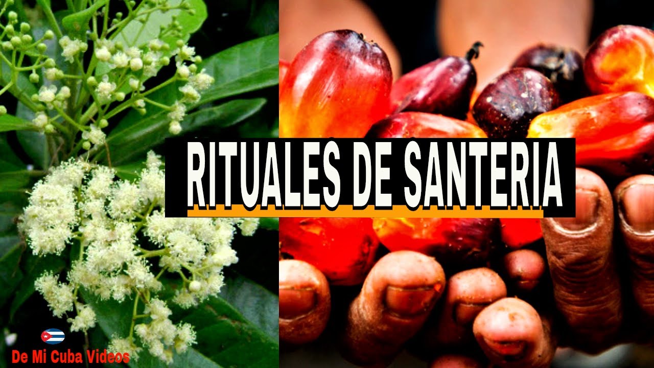 ¿Qué es la Manteca de Corojo? Atención y culto al Orisha